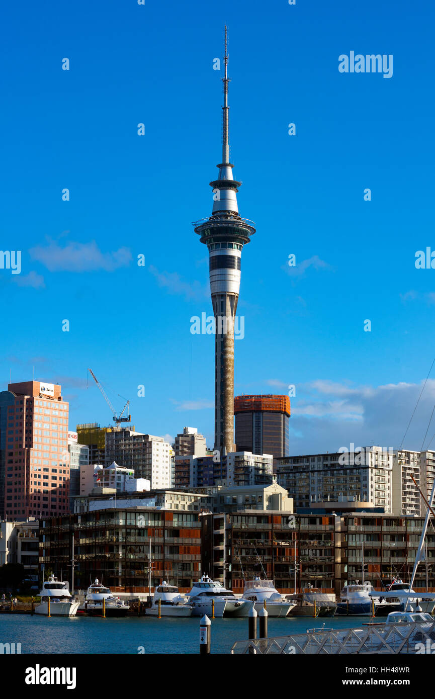 Auckland Sky Tower and marina, Auckland, New Zealand Stock Photo - Alamy