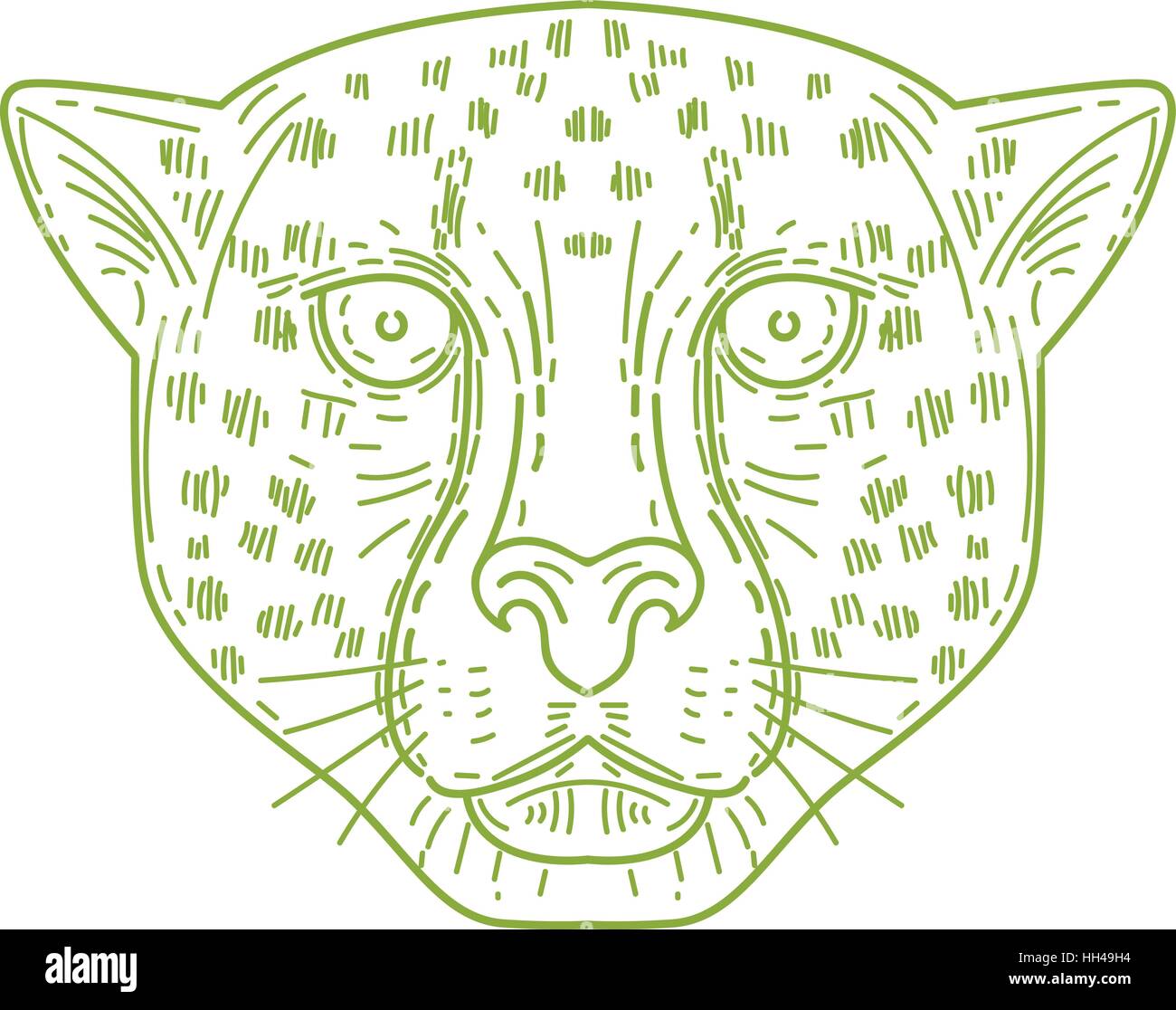 Mono line style illustration of a cheetah head facing front set on ...