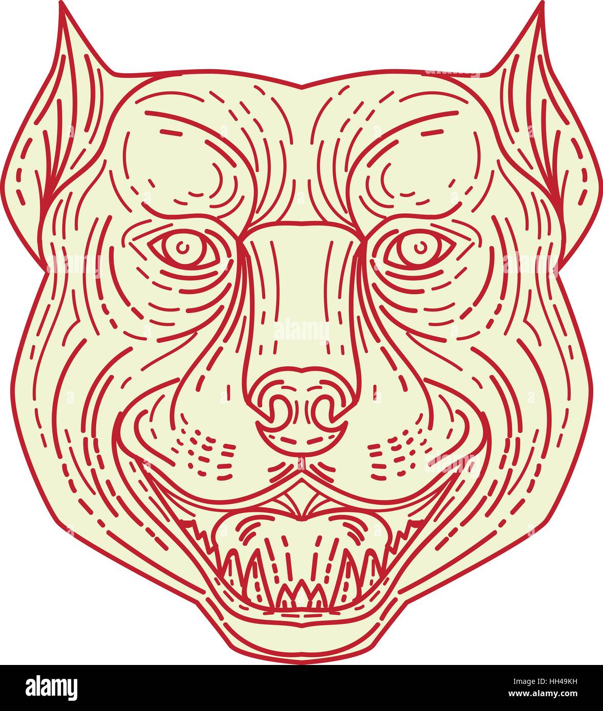 Snarling Pitbull Drawing
