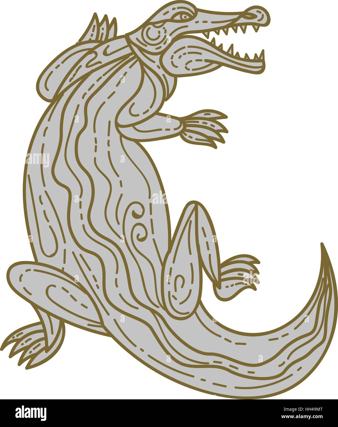 Alligator front view Stock Vector Images - Alamy