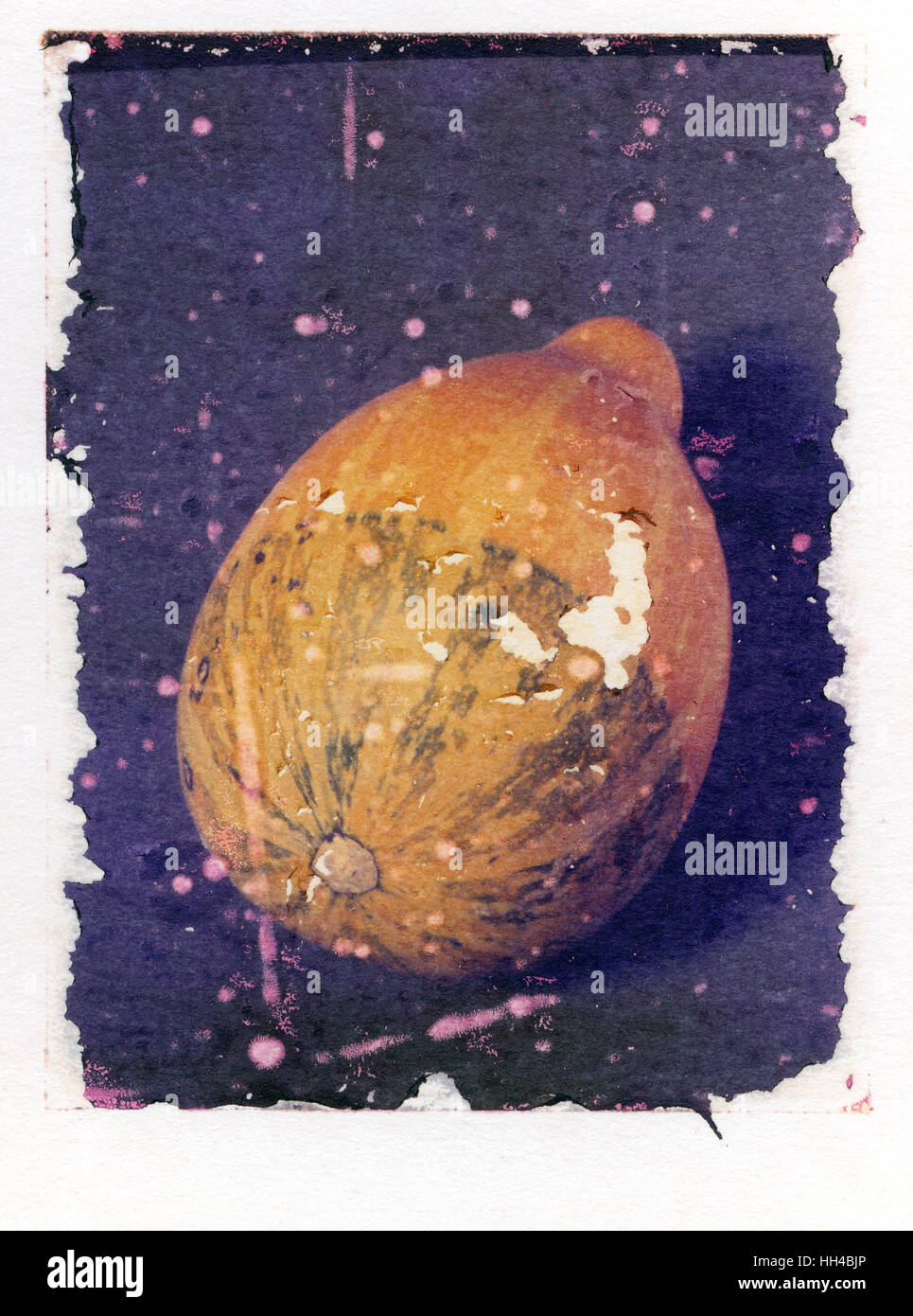 Gourd icon hi-res stock photography and images - Alamy