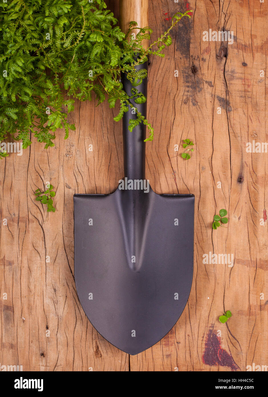 garden's black shovel made from coated steel put vertically on wood ...