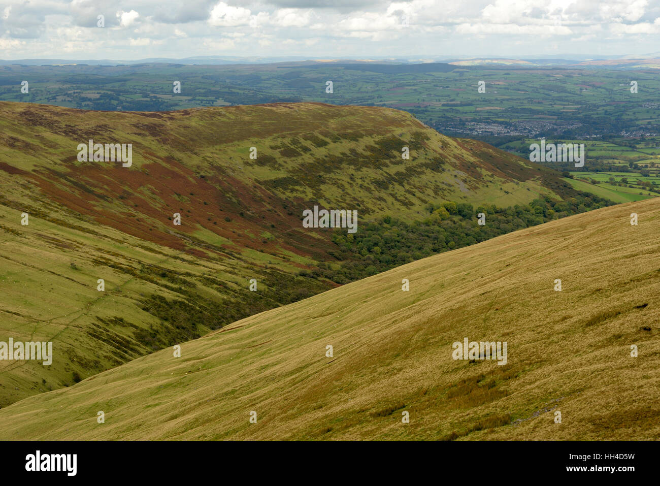 Sere High Resolution Stock Photography and Images - Alamy