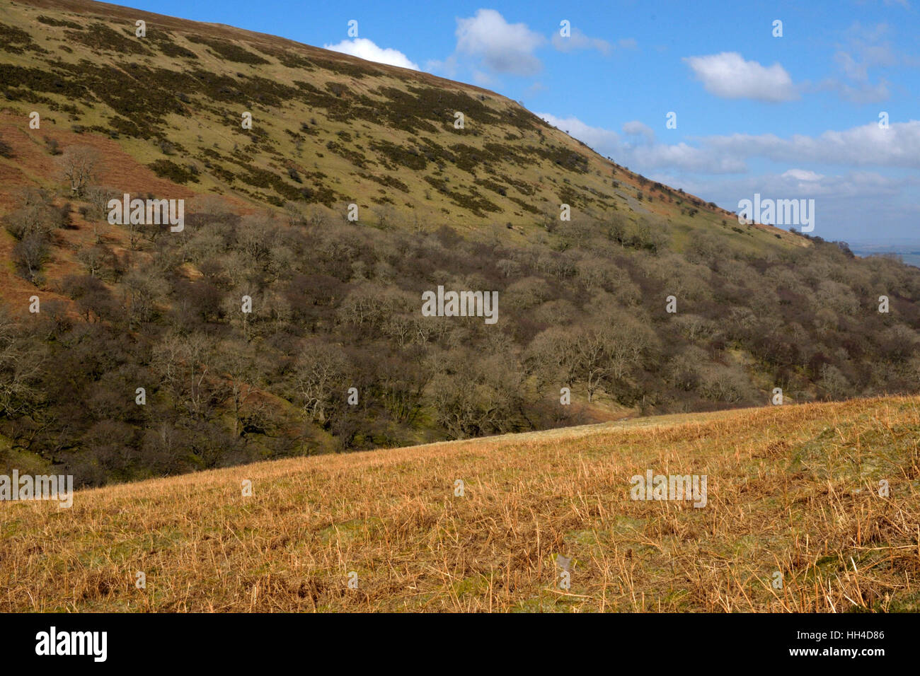 Sere hi-res stock photography and images - Alamy