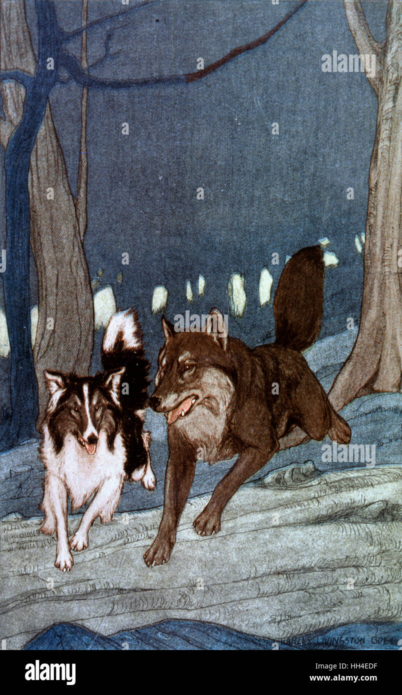 JACK LONDON/WHITE FANG Stock Photo - Alamy