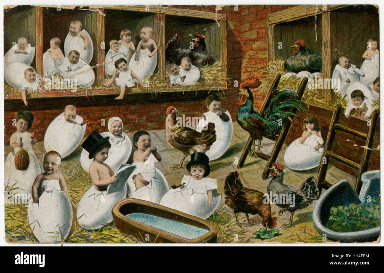 Hatching from eggs hi-res stock photography and images - Alamy