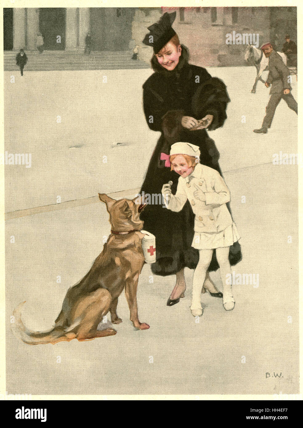 World War One Dog High Resolution Stock Photography and Images - Alamy