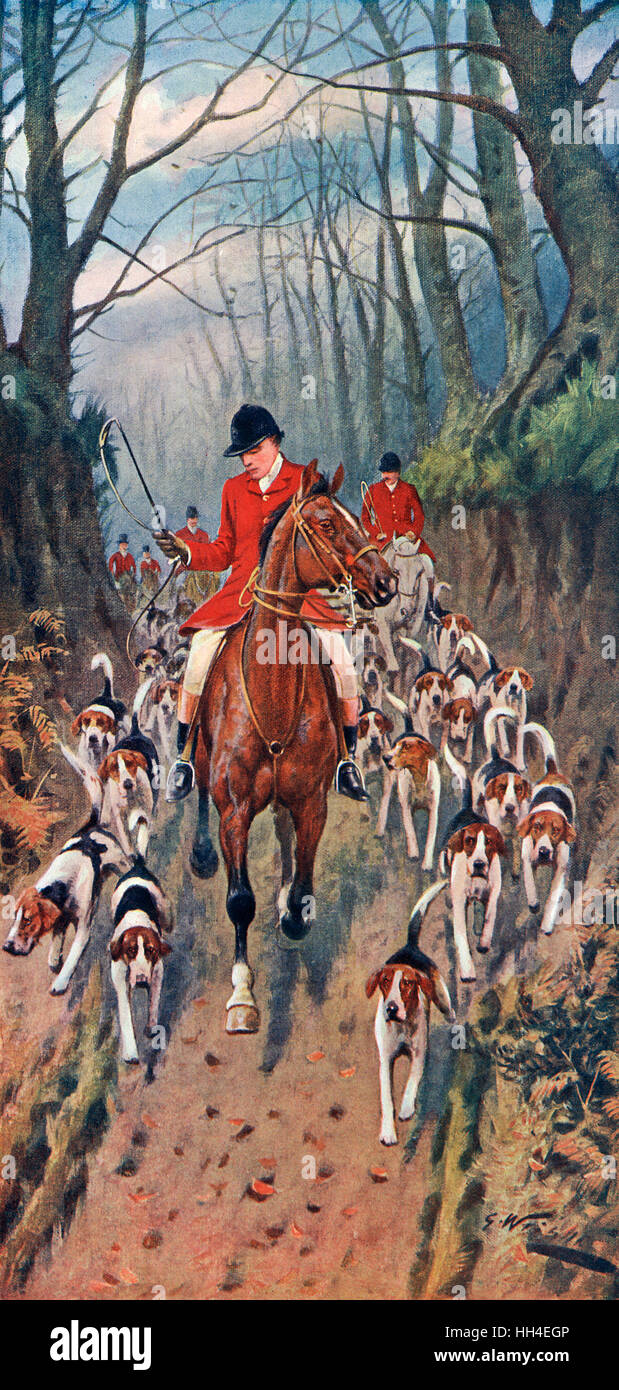 Country fox hunt hi-res stock photography and images - Alamy