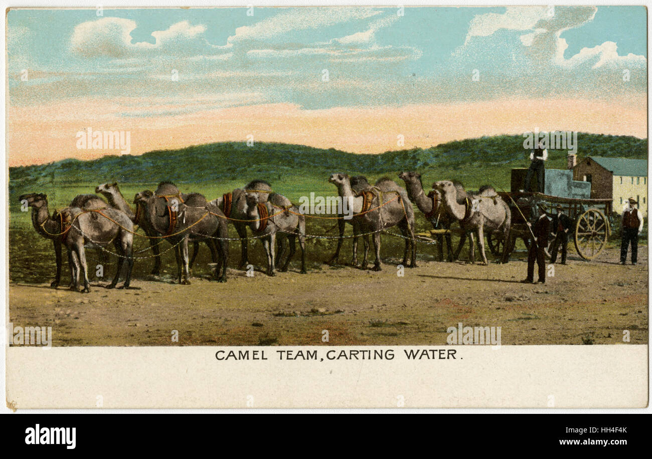 Camel wagon australia hi-res stock photography and images - Alamy