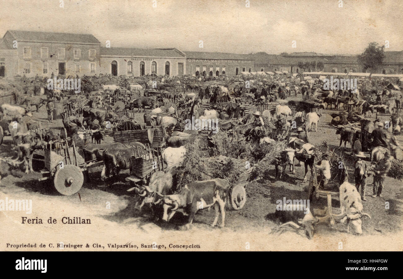 Chillán chile hi-res stock photography and images - Alamy