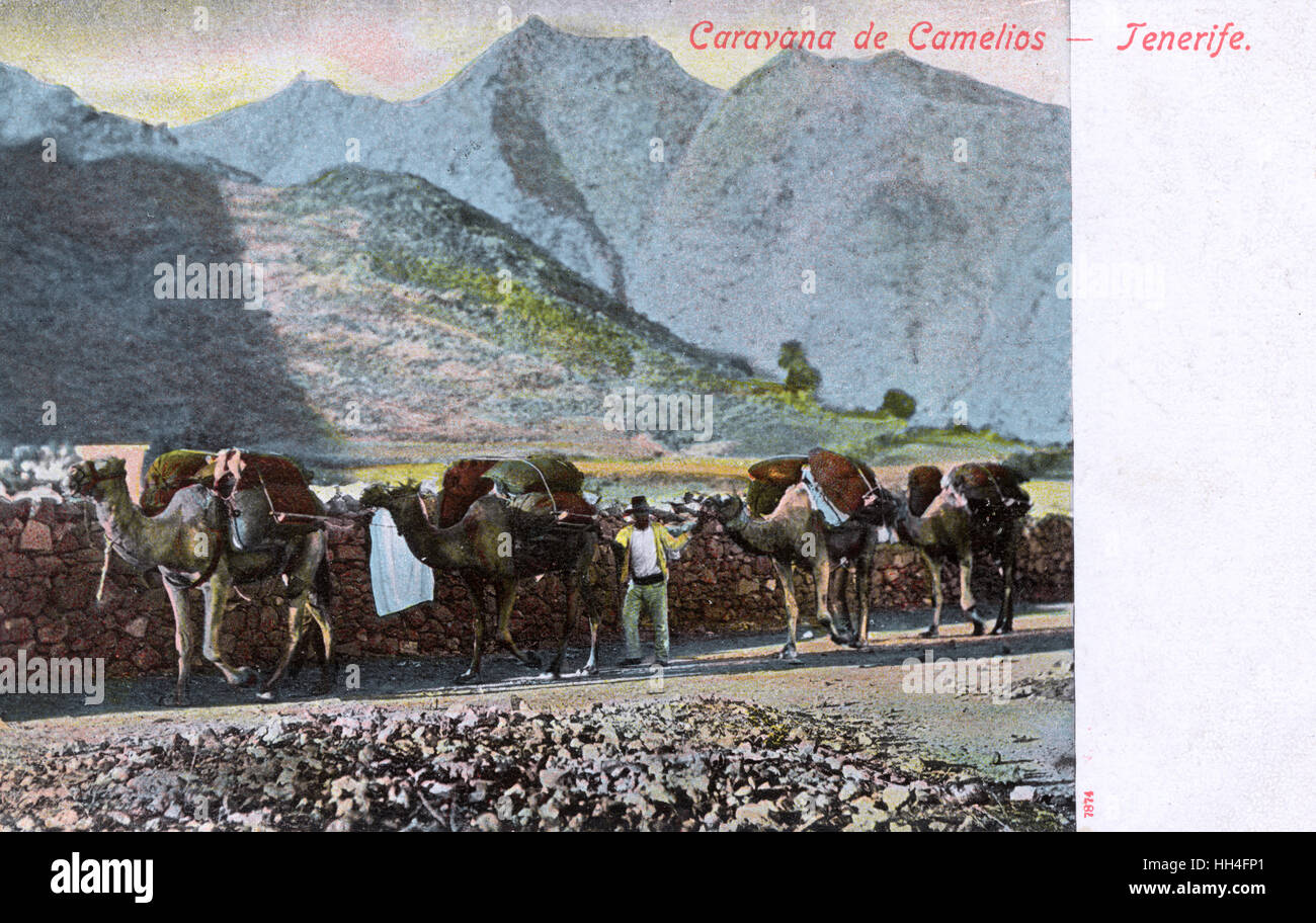 Tenerife train hi-res stock photography and images - Alamy