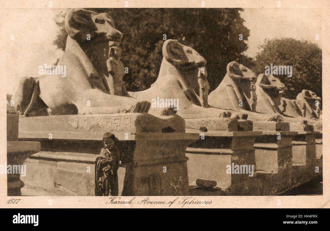 Ram And Boy High Resolution Stock Photography and Images - Alamy