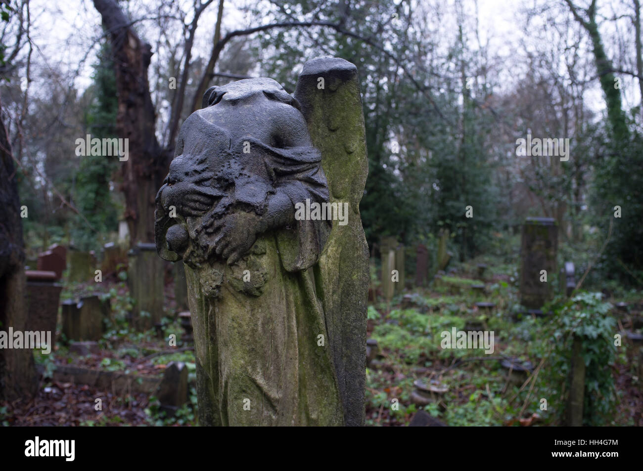 London, UK. 15th Jan, 2017. Tower Hamlets Cemetery Park is a historic ...