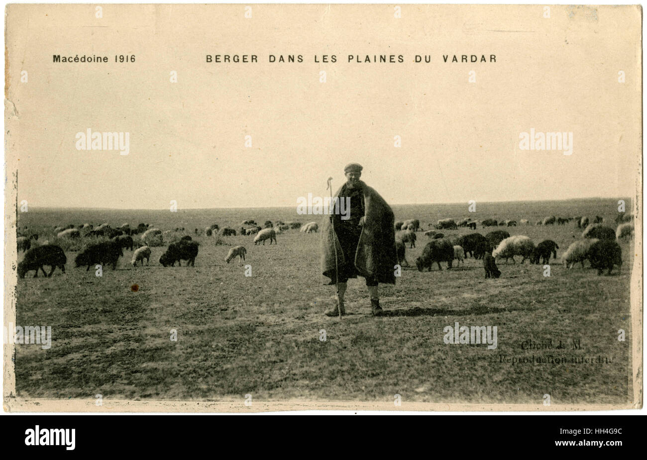 Shepherd on the Plains of Vardar, Macedonia - WW1 era Stock Photo - Alamy