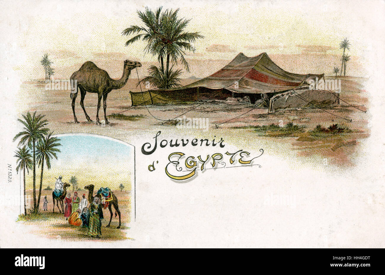 Souvenir of Egypt Postcard - Bedouin Tent and Camel Stock Photo - Alamy