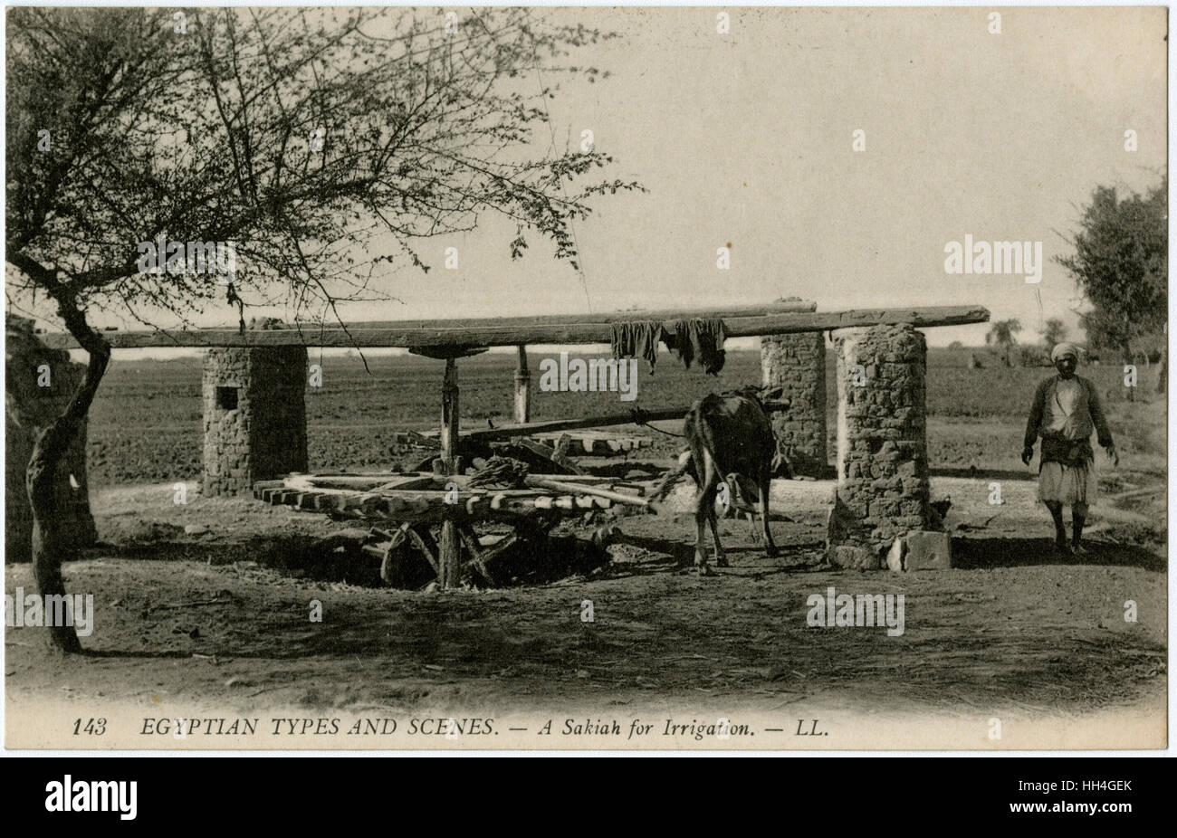Egypt, Africa - A Sakia, used for irrigation Stock Photo - Alamy