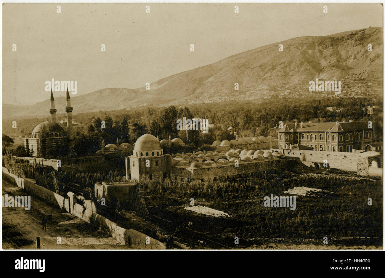 Issus turkey hi-res stock photography and images - Alamy