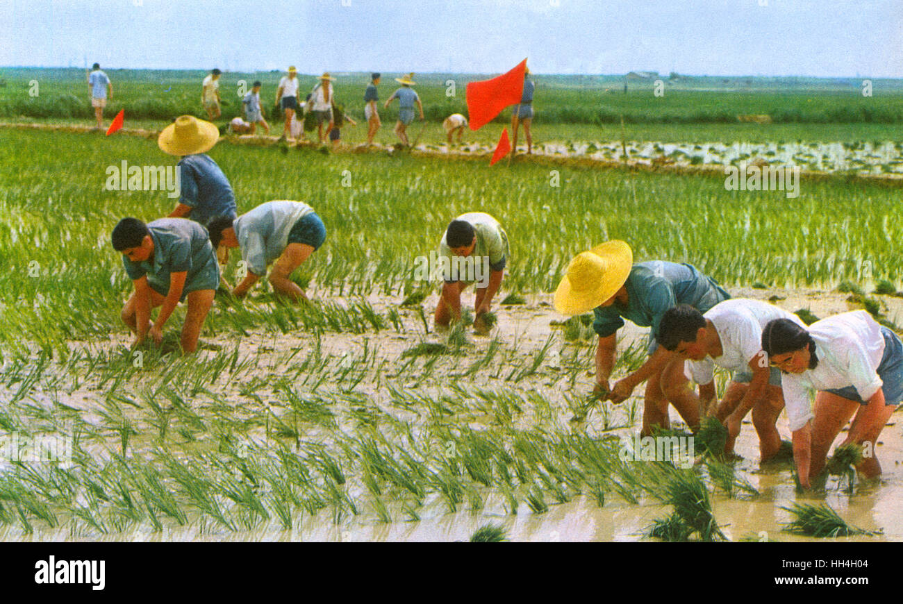 Neolithic Agricultural Revolution