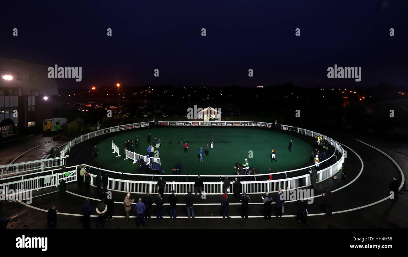 Horses in the parade ring under floodlights at Wolverhampton Racecourse ...