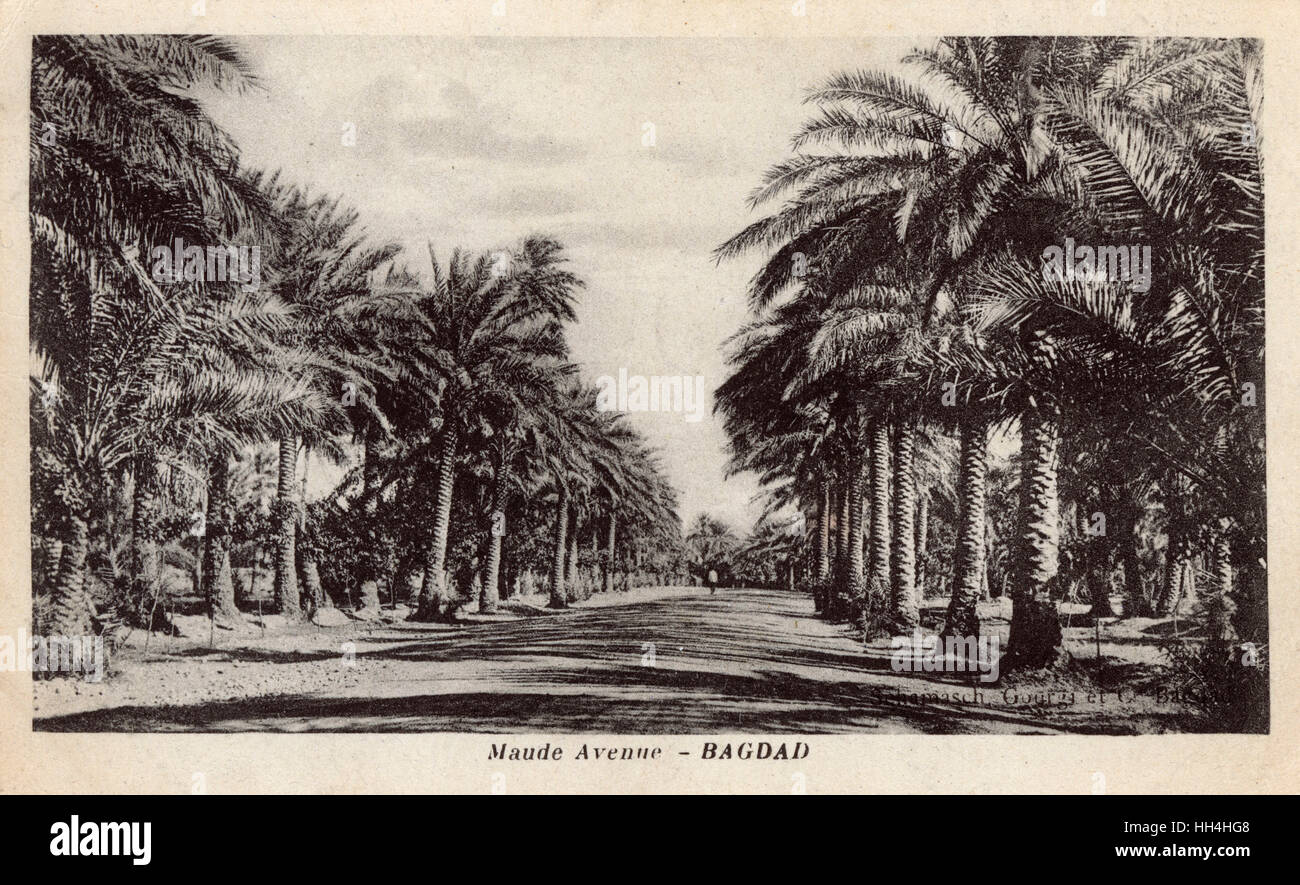 Iraq baghdad trees hi-res stock photography and images - Alamy