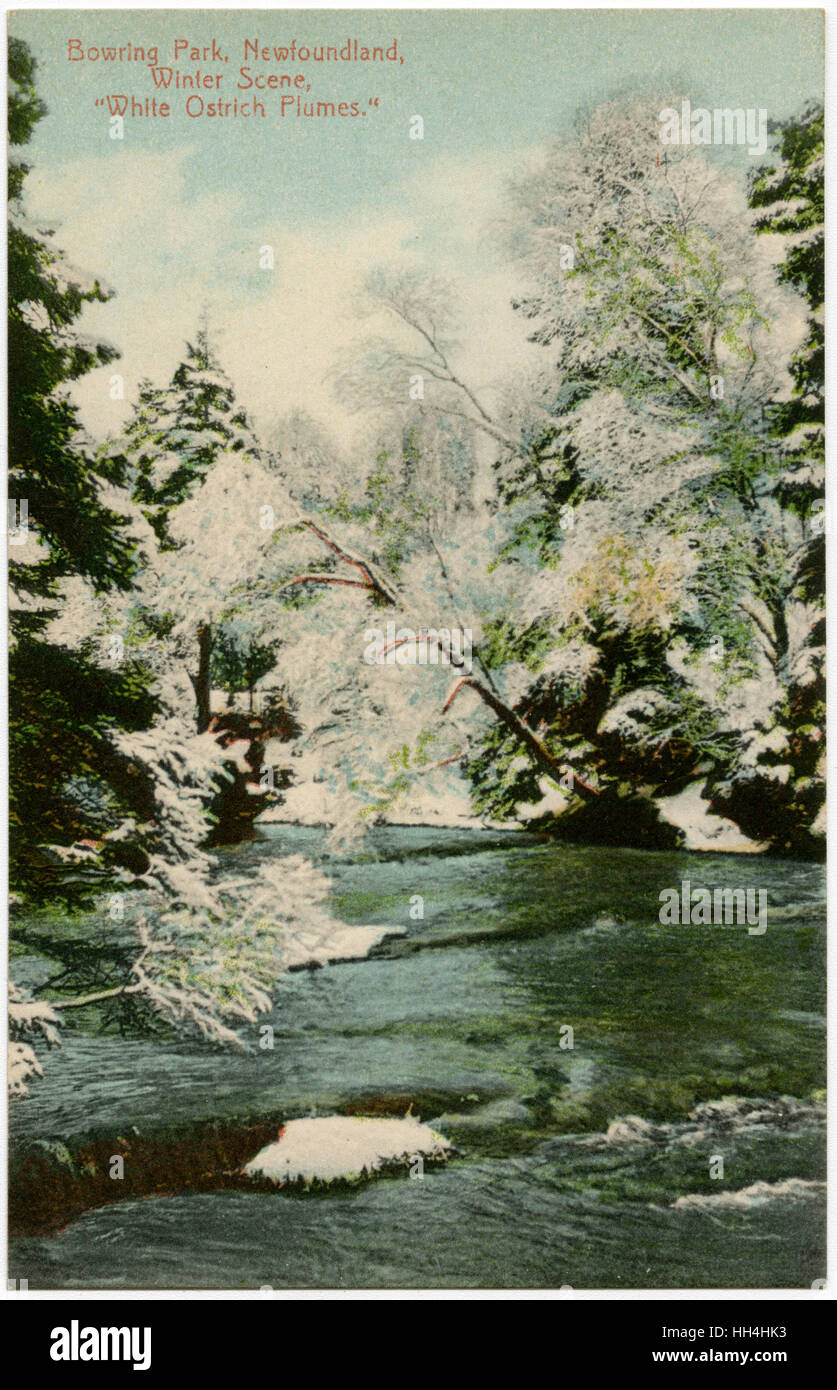 Bowring park hi-res stock photography and images - Alamy