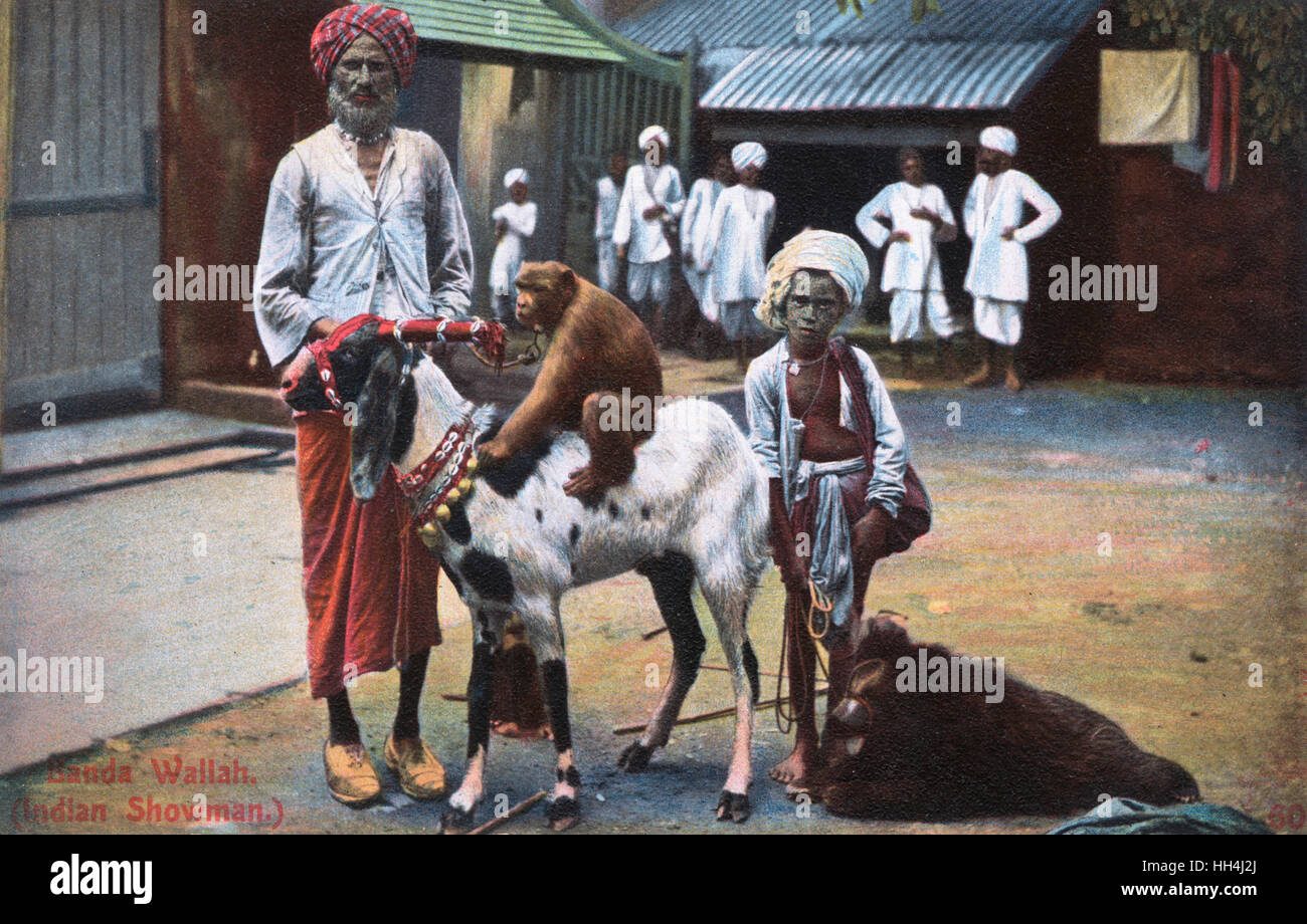 Boy and animals hi-res stock photography and images - Alamy