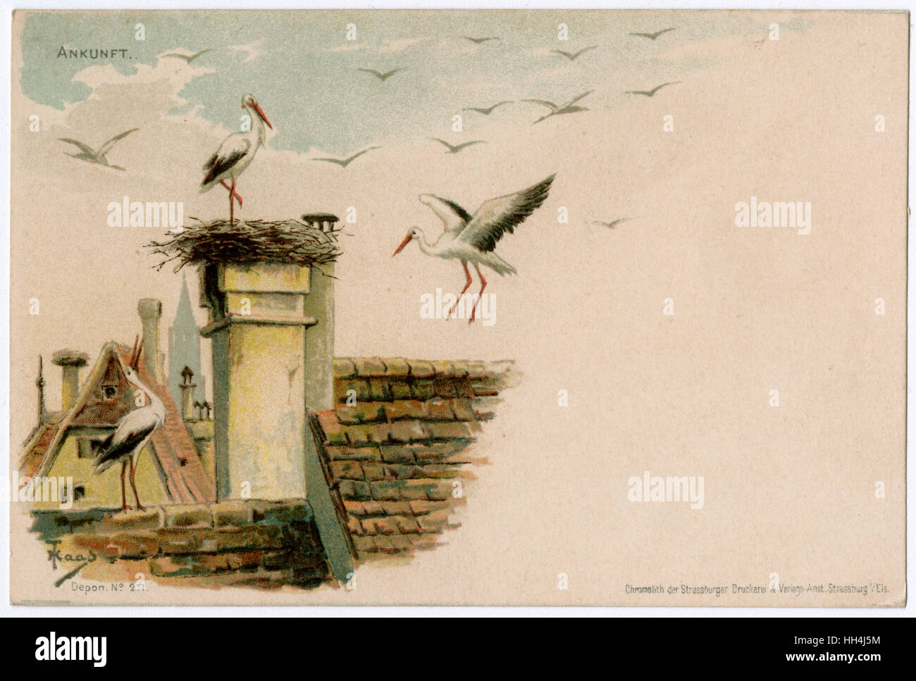 Arrival of the storks to their nest - Strasbourg Stock Photo - Alamy