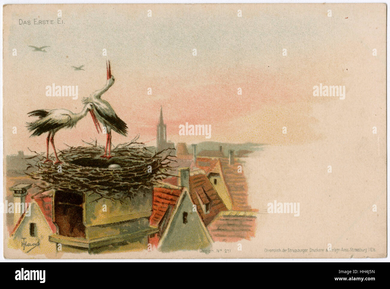 The storks lay a precious egg in their nest - Strasbourg Stock Photo ...