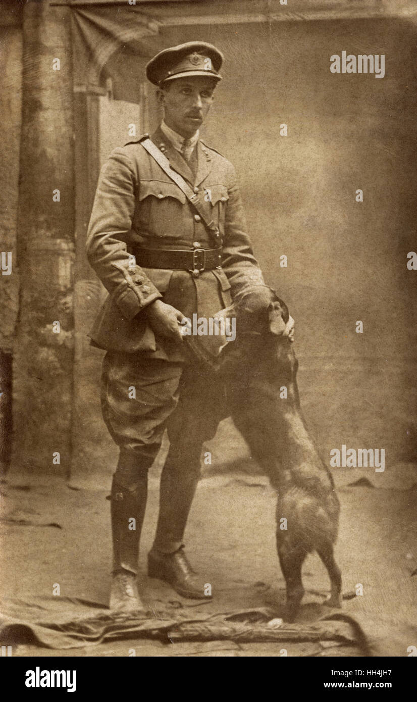 Royal Engineers officer and dog, WWI Stock Photo - Alamy