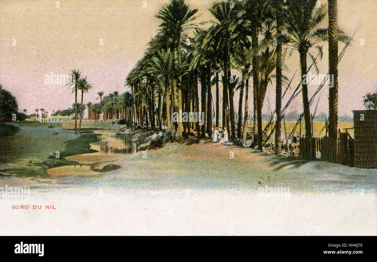 River bank of the nile near cairo hi-res stock photography and images ...