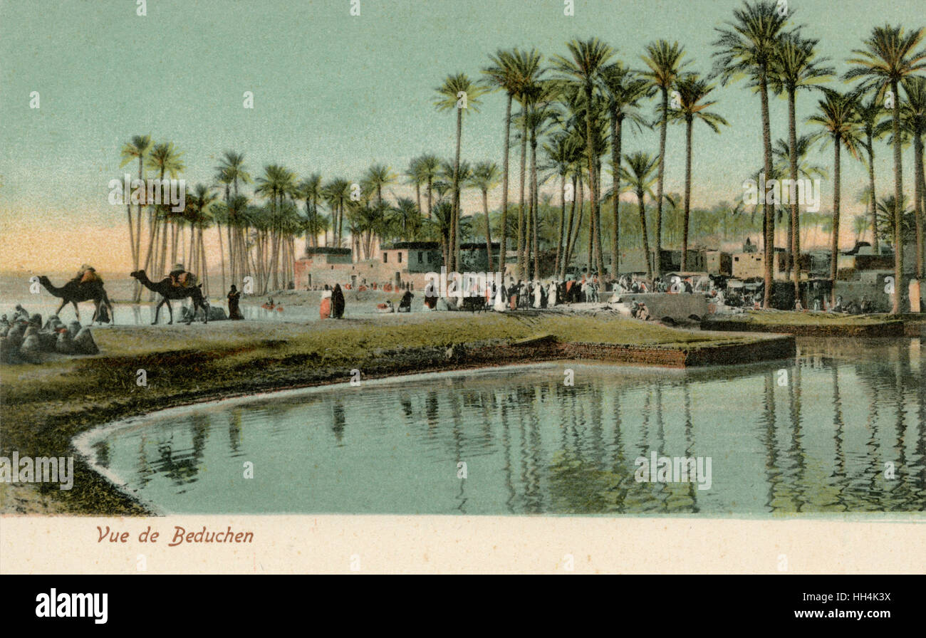 Oasis in Egypt Stock Photo - Alamy