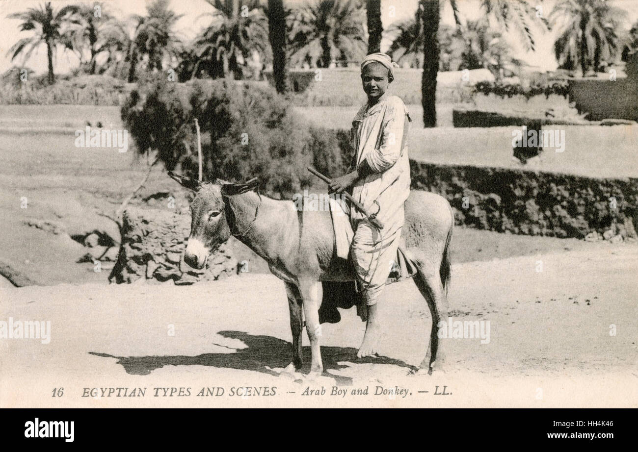 Donkey rider High Resolution Stock Photography and Images - Alamy