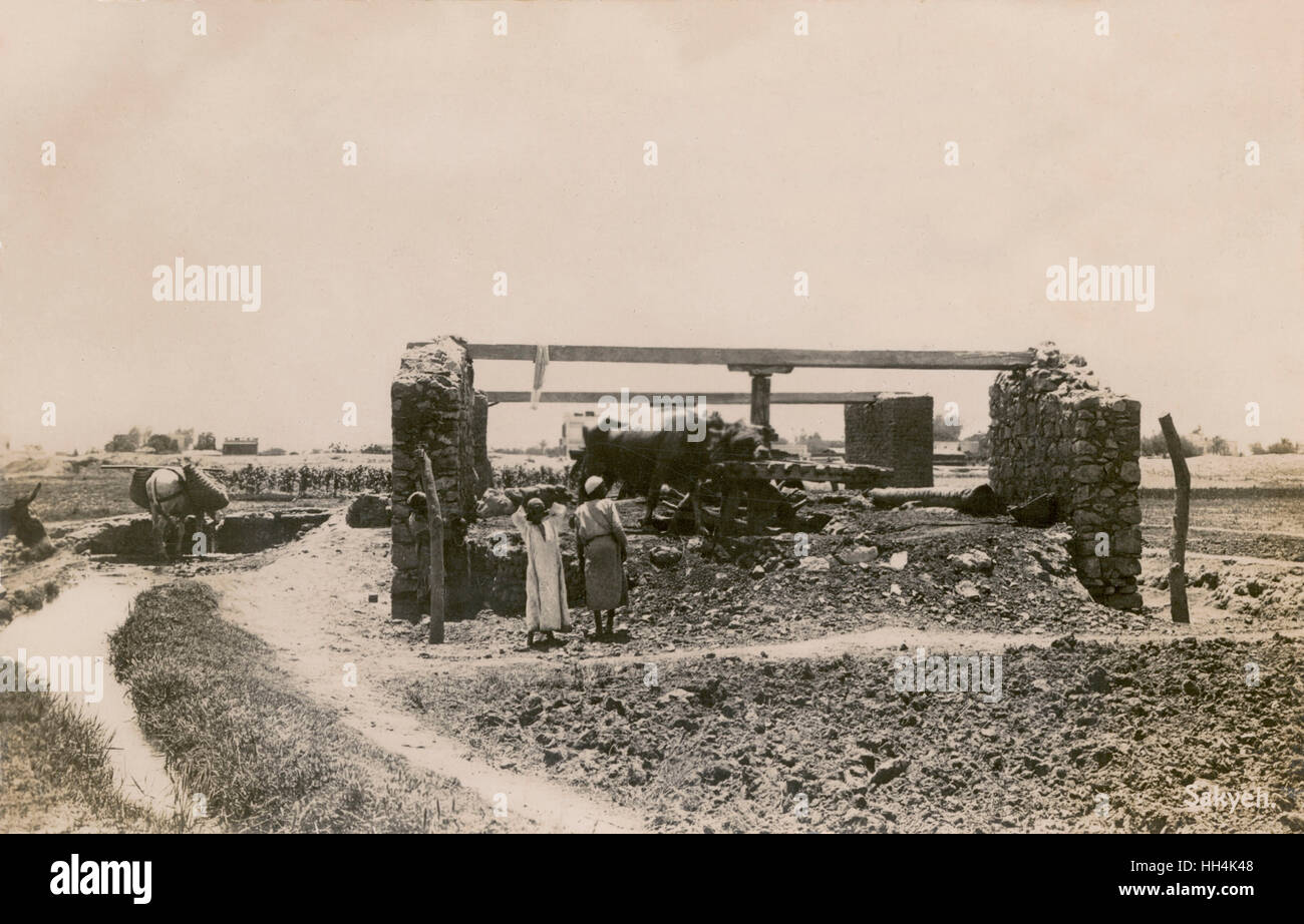 Water wheel in egypt hi-res stock photography and images - Alamy