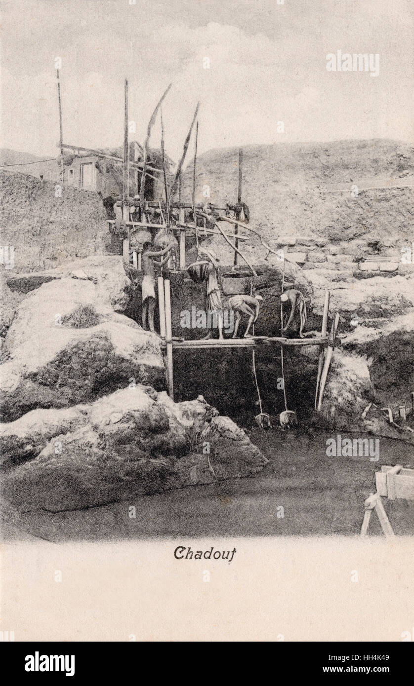 Shadoof chadouf at the nile river hi-res stock photography and images ...