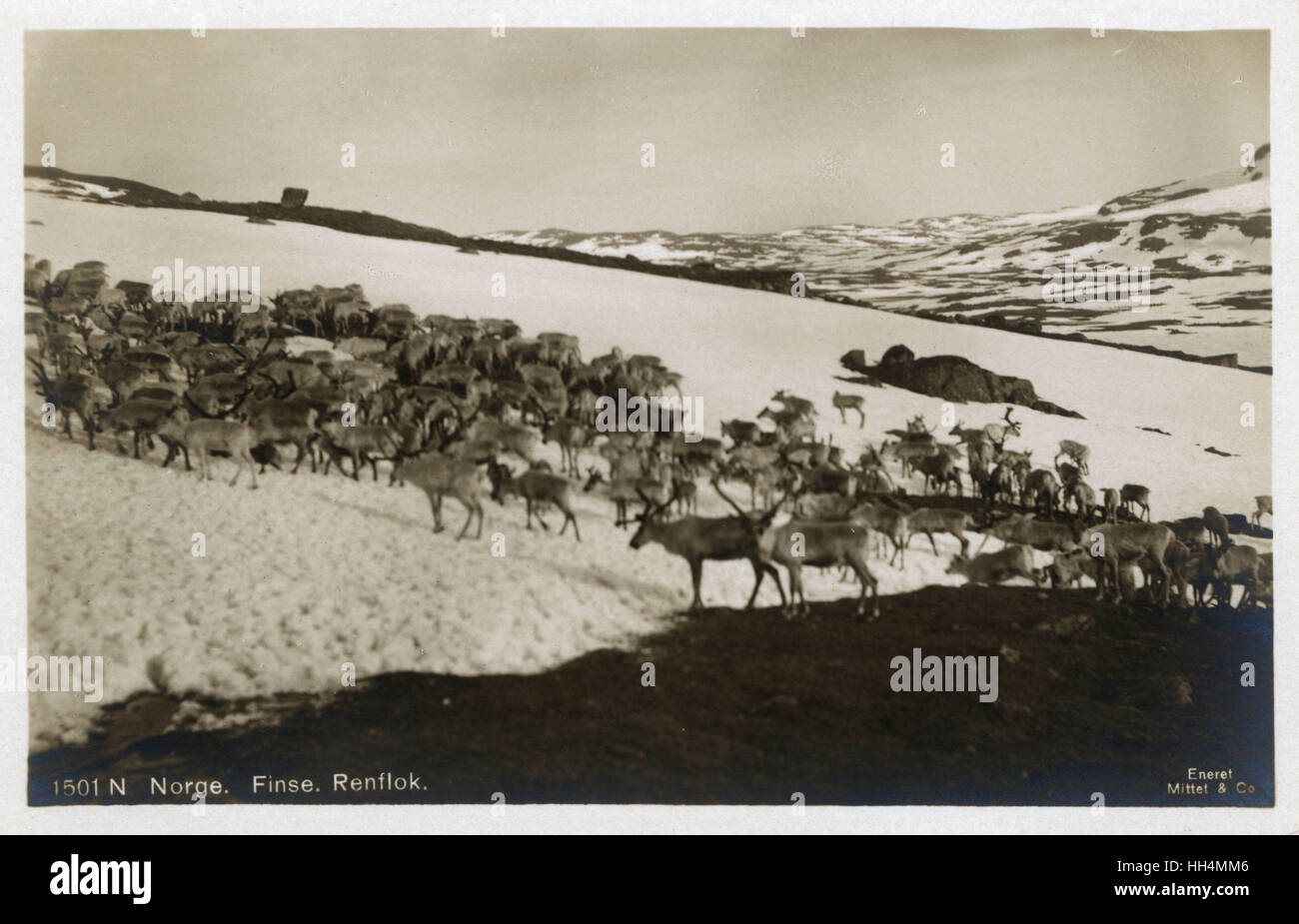 Finse village norway hi-res stock photography and images - Alamy