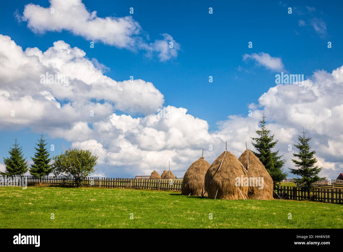 Loose hay stack hi-res stock photography and images - Alamy