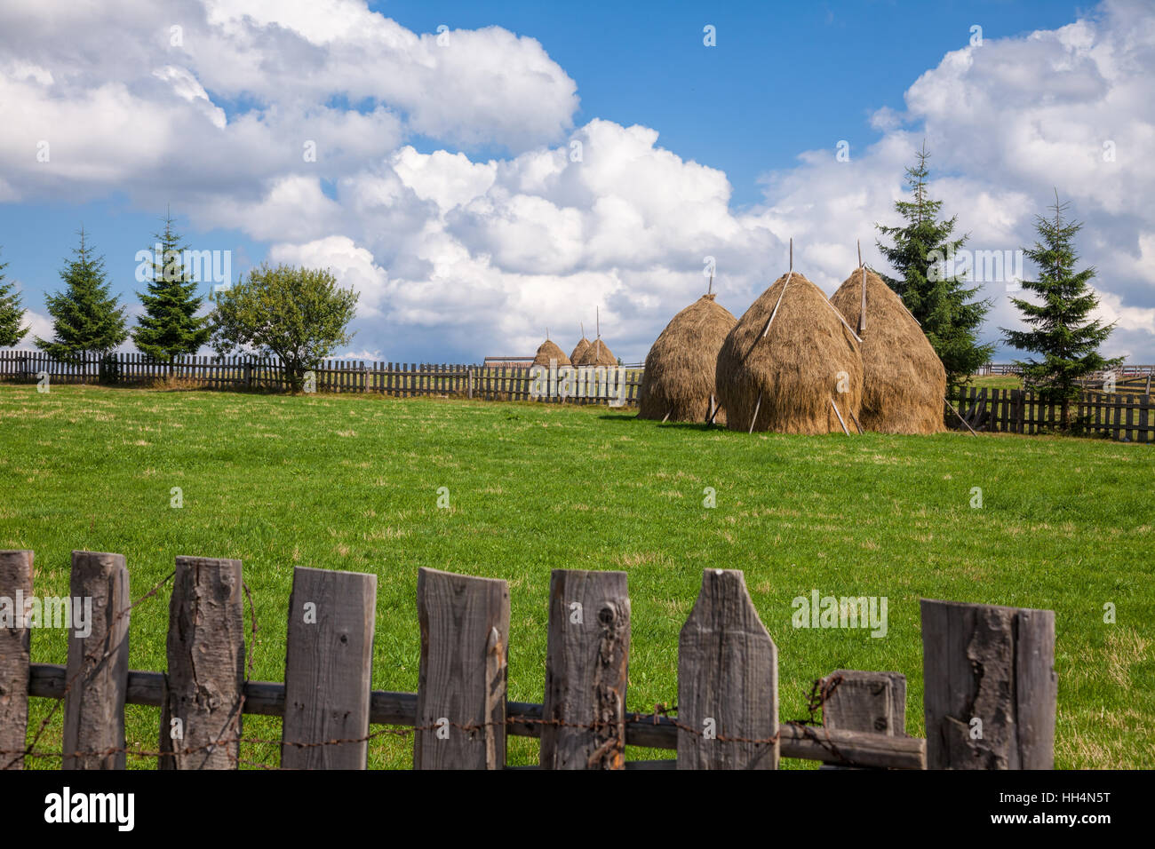 Loose hay stack hi-res stock photography and images - Alamy