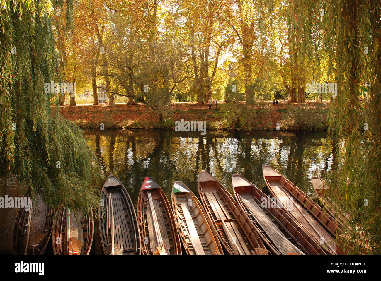 Punts on river Neckar near the Hoelderlin tower Tuebingen Baden ...
