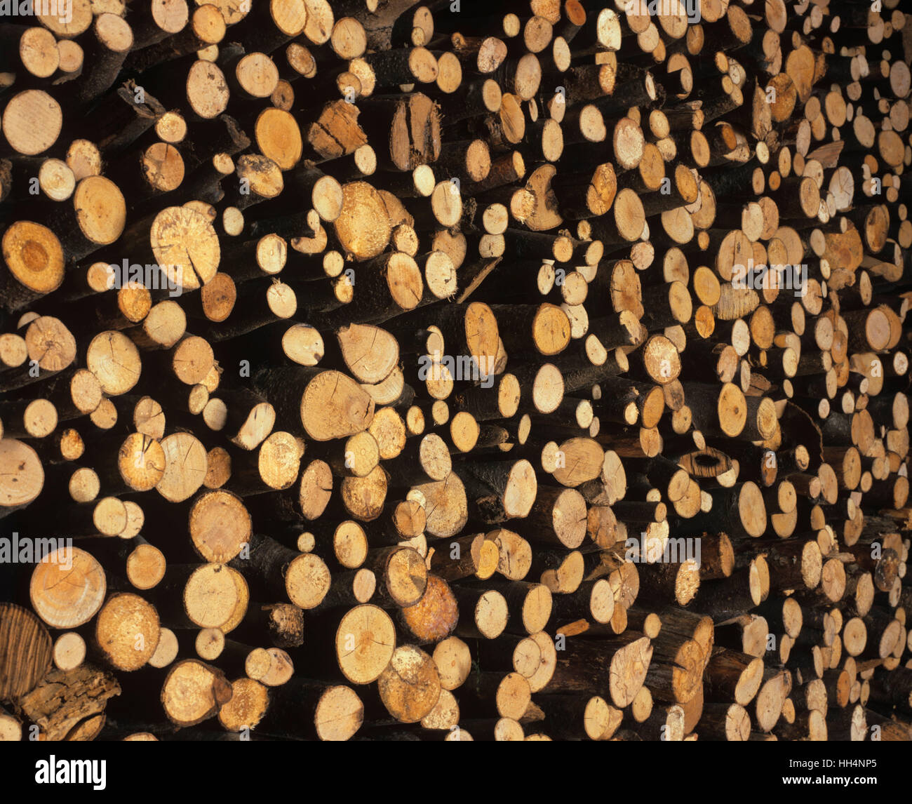Stack of wood Stock Photo - Alamy