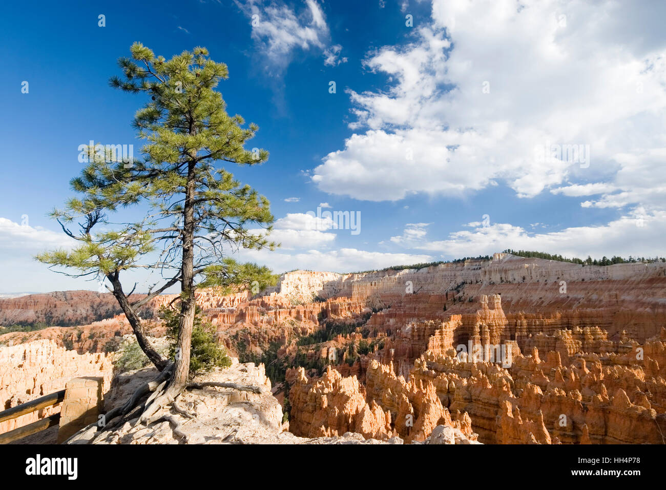 Toadstool Hoodoos. Utah. USA Stock Photo - Alamy