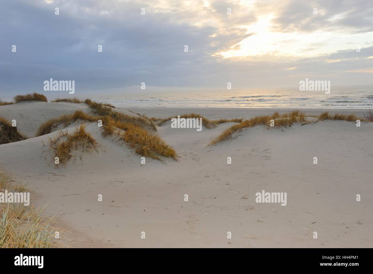 Kurisches haff hi-res stock photography and images - Alamy