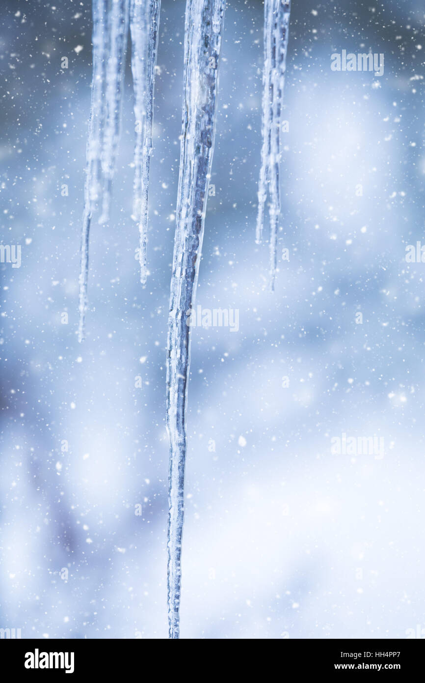 natural frozen icicles in snowy day for background or backdrop Stock ...