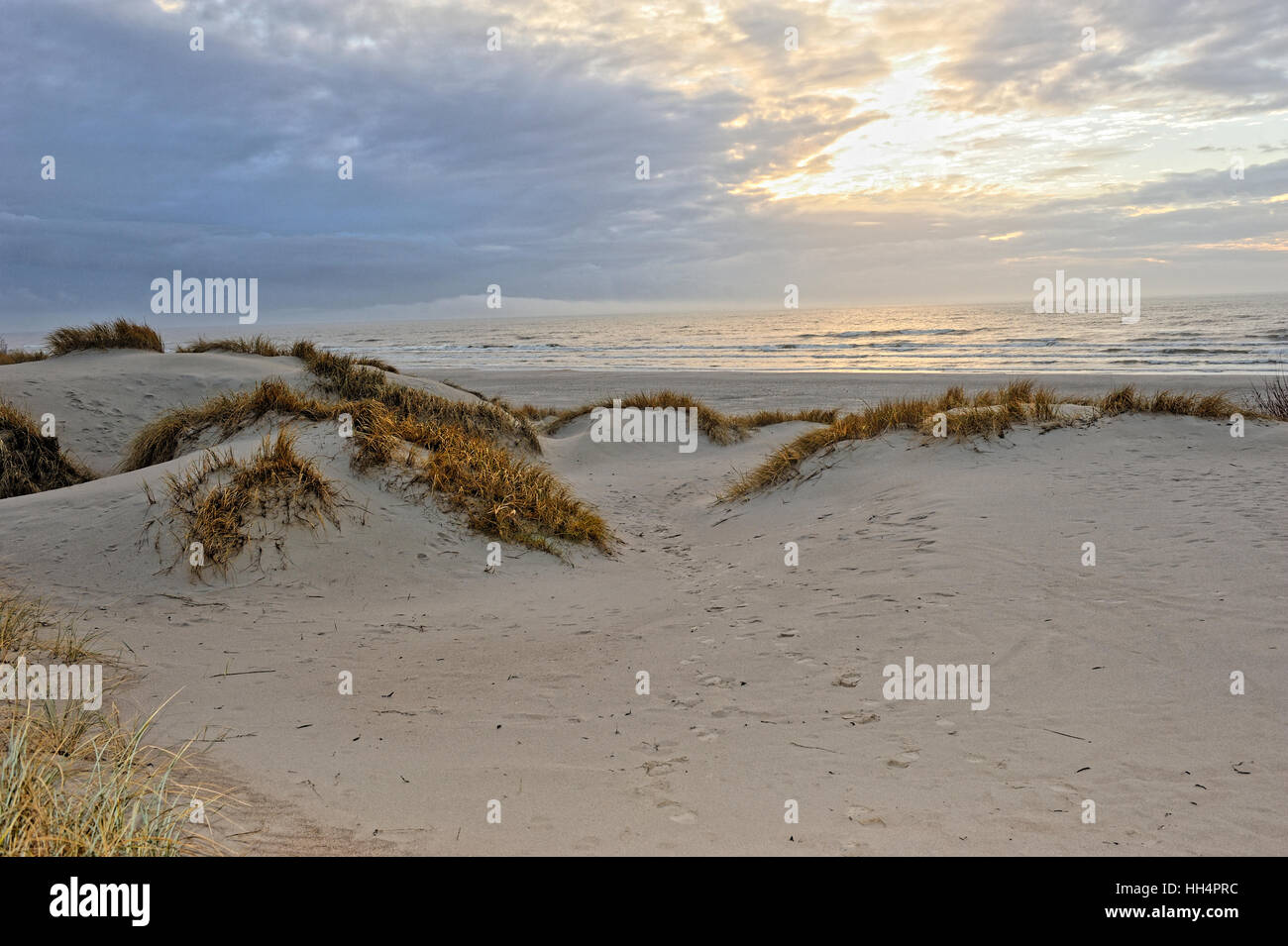 Kurisches haff hi-res stock photography and images - Alamy