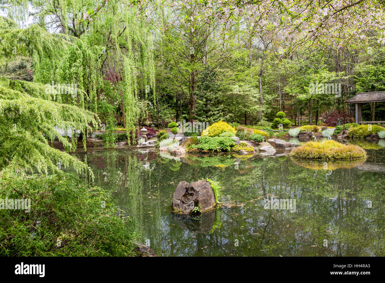 The shore of a pond hi-res stock photography and images - Alamy