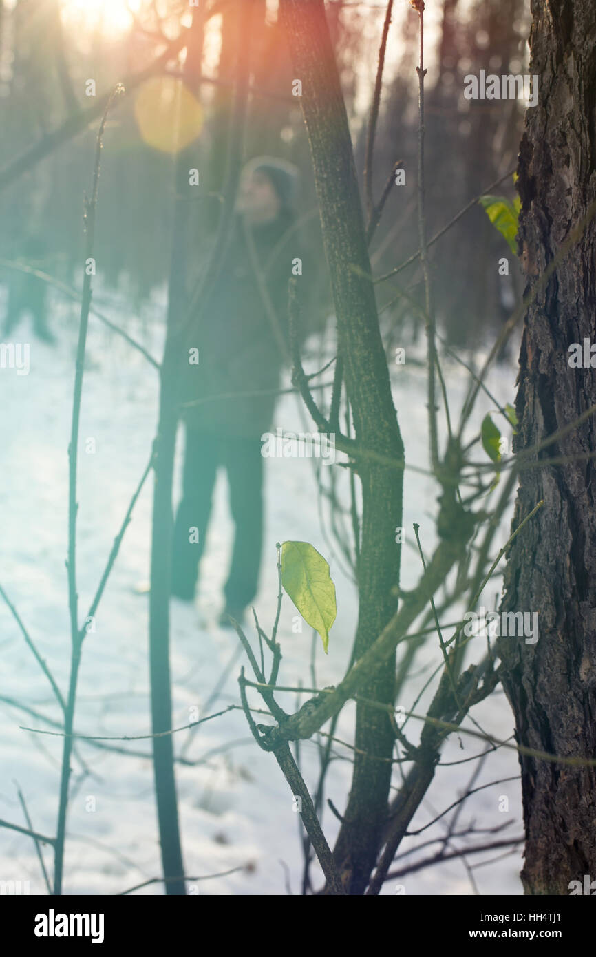 Man walks on snow covered hi-res stock photography and images - Alamy