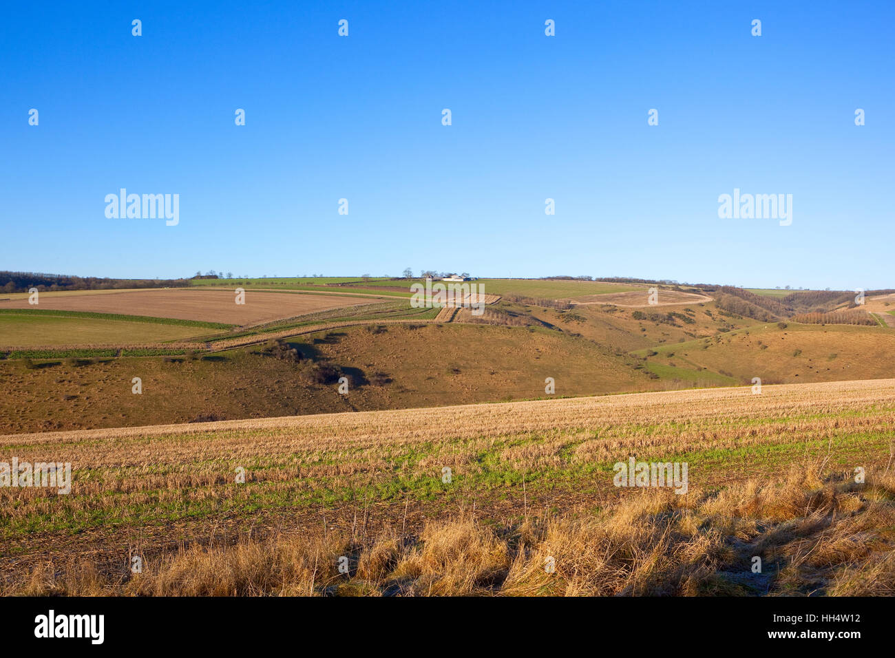 a picturesque agricultural valley in a yorkshire wolds landscape with ...
