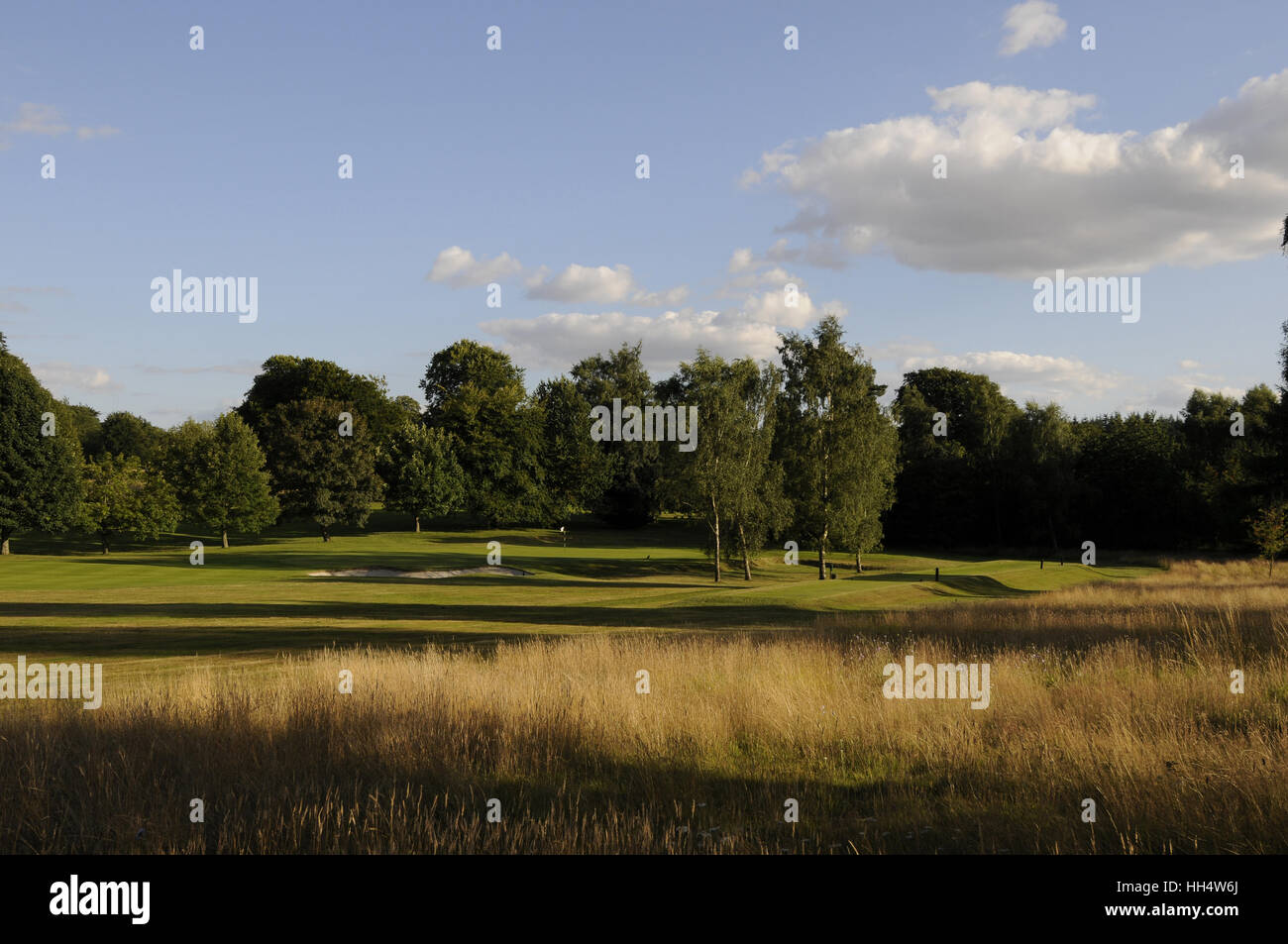 View over Fescue grass to Fairway and Green of 1st Hole Basingstoke ...