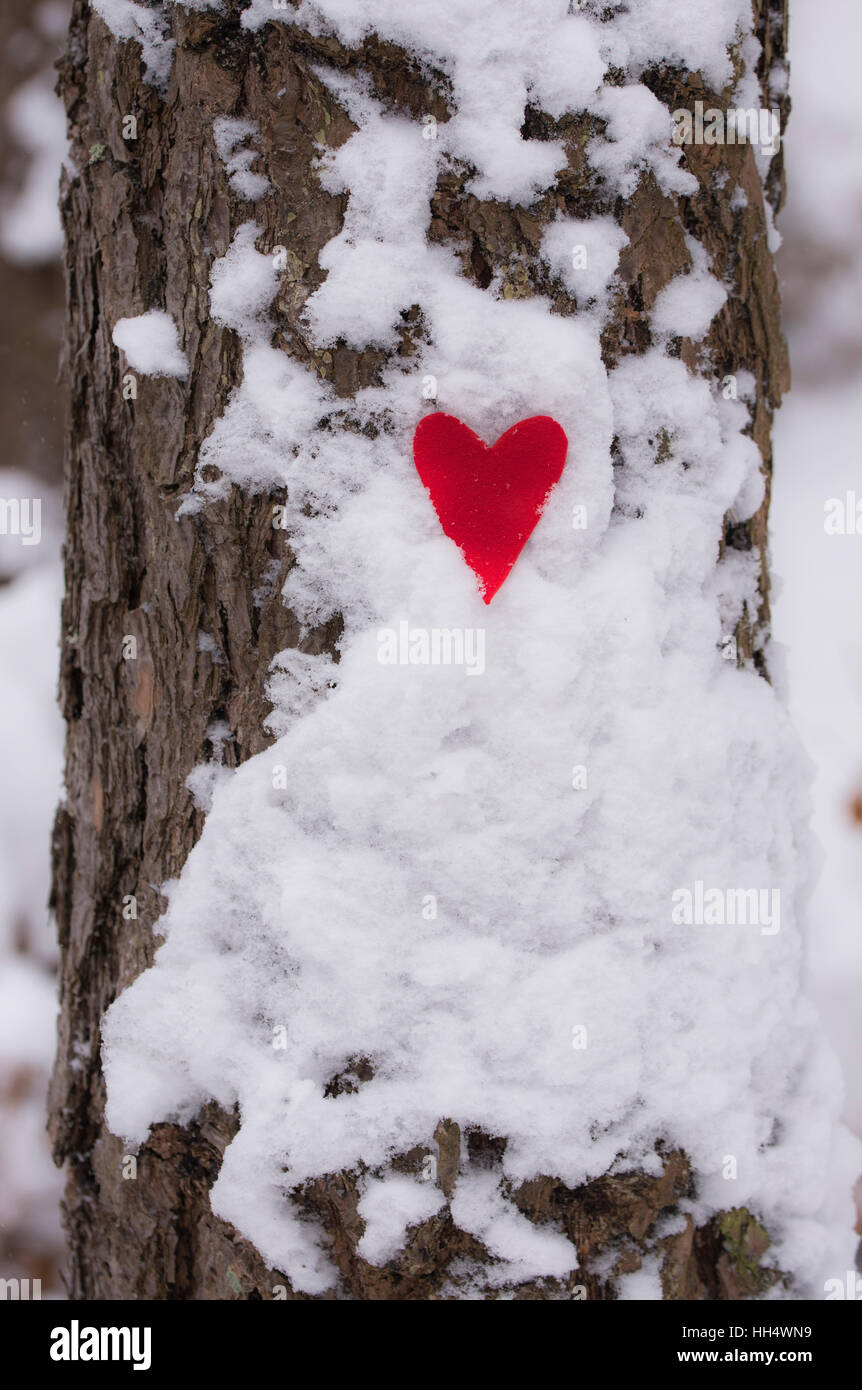 Red heart on tree trunk covered with snow Stock Photo - Alamy