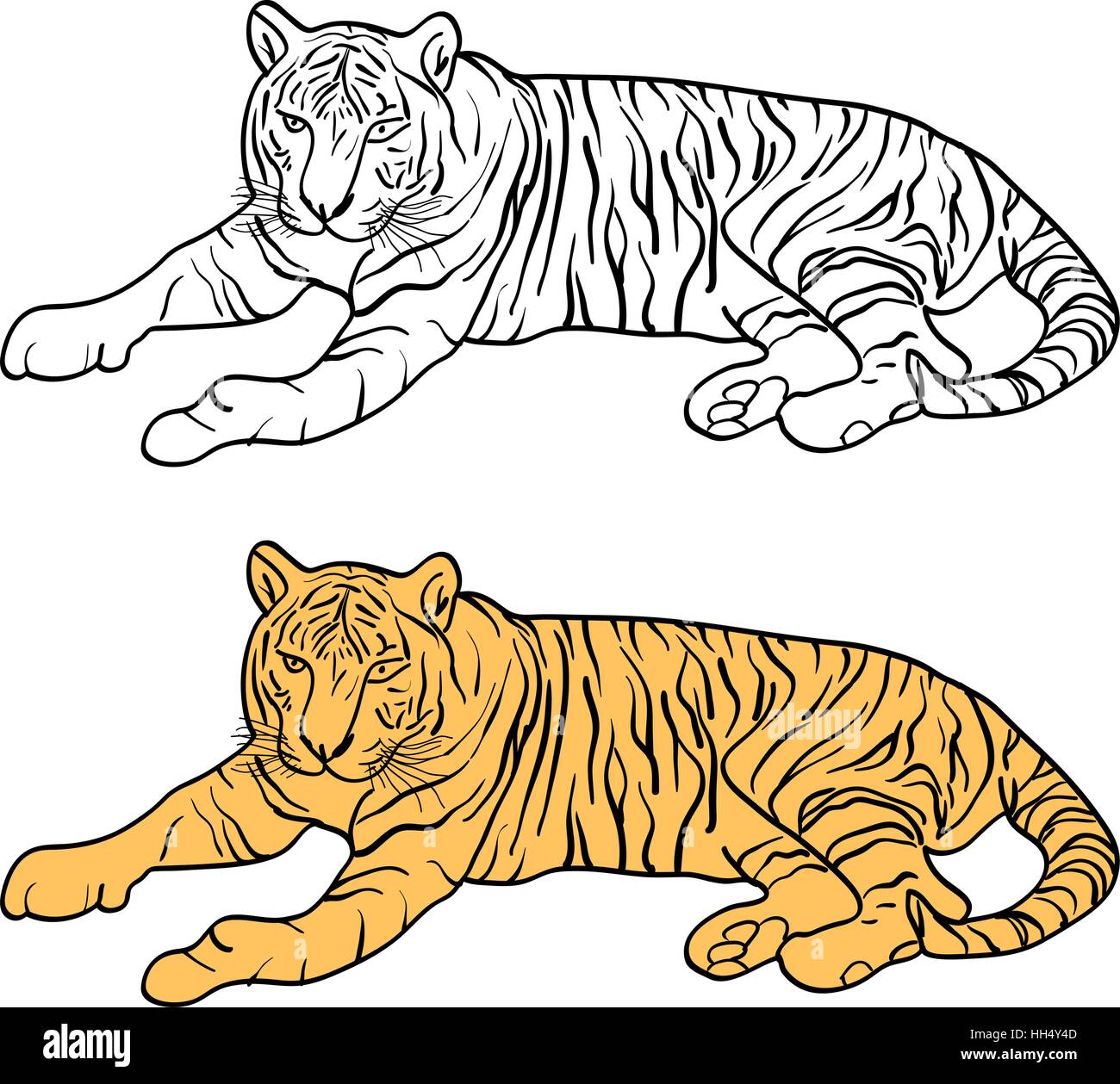 Sketch beautiful tiger on a white background. Vector illustration Stock ...