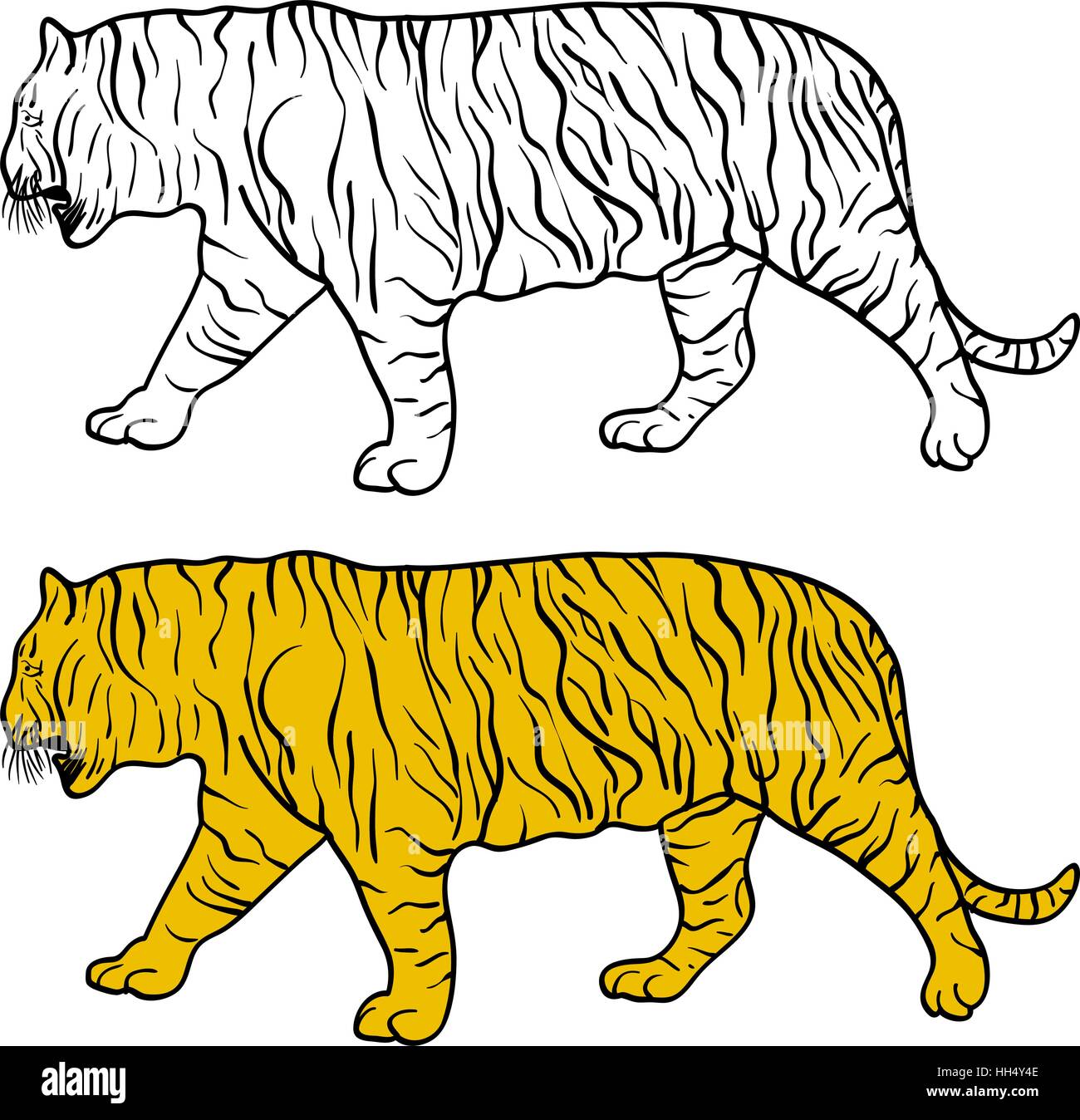 Sketch beautiful tiger on a white background. Vector illustration Stock ...